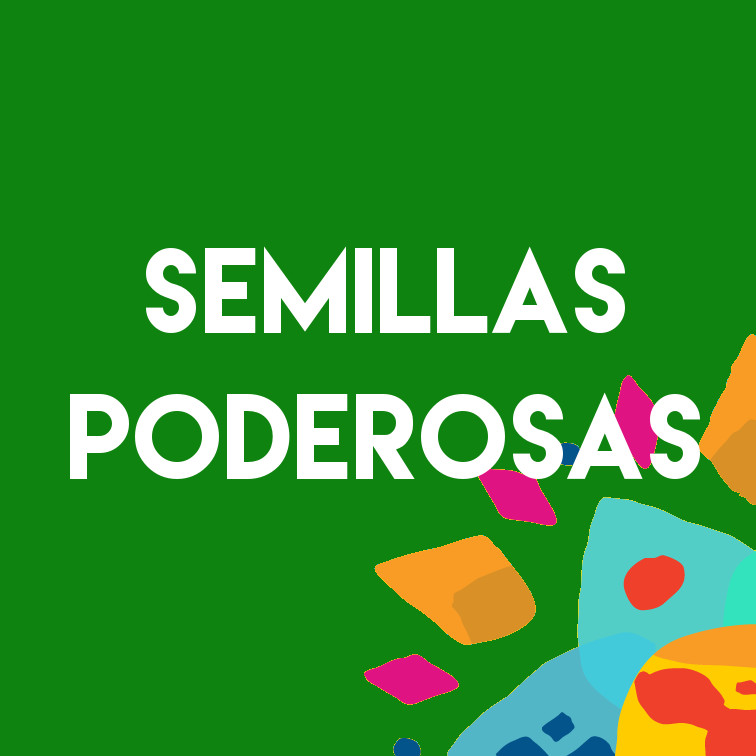 Proyectos del LABICAR – Rosario, 2018 – Innovación Ciudadana